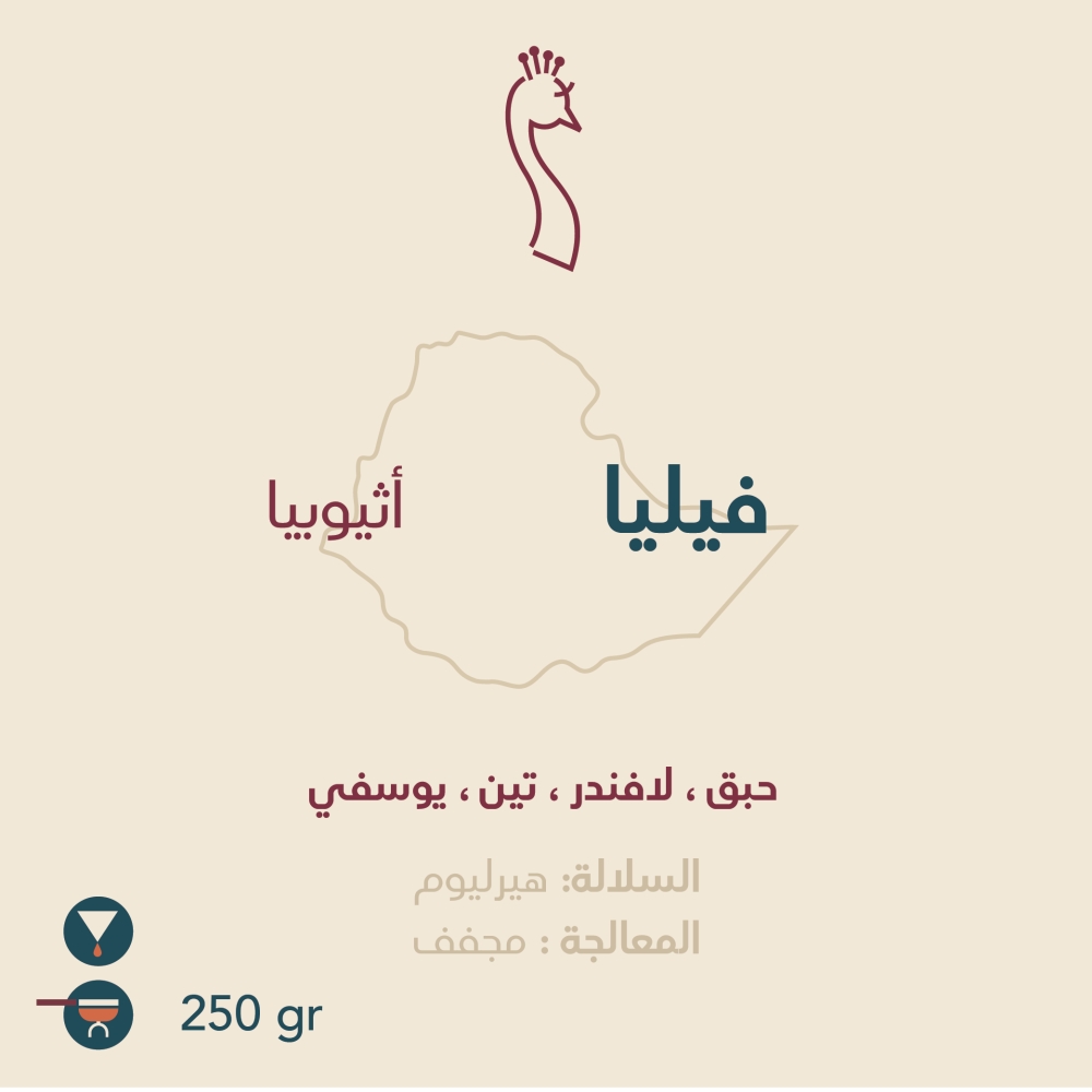 COFFEE BEAN PEACOCK ROASTER FILIA ETHIOPIA 250G