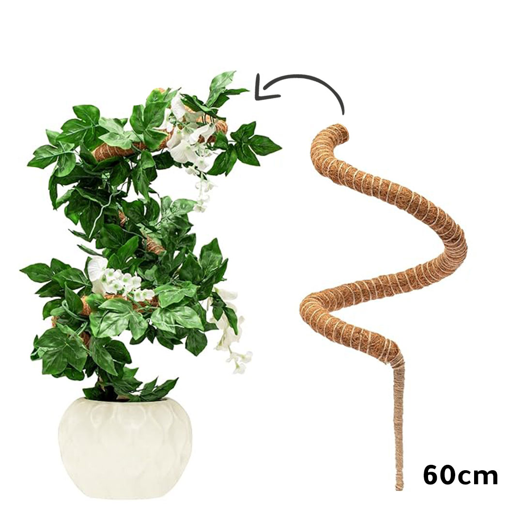 Planting air rooting flexible stick for pathus 60cm J-1283